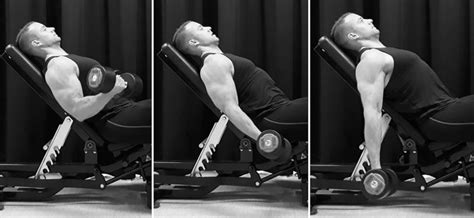 Eccentric Quasi Isometric Incline Biceps Curl Download Scientific Diagram