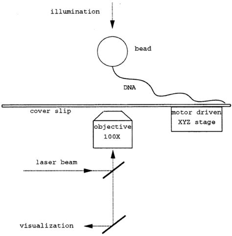 Schematic Description Of The Experimental Setup Download Scientific