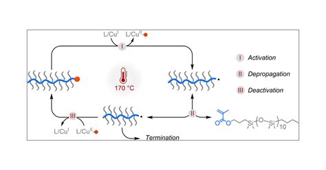 Depolymerization Of Ppdms11ma Bottlebrushes Via Atom Transfer Radical