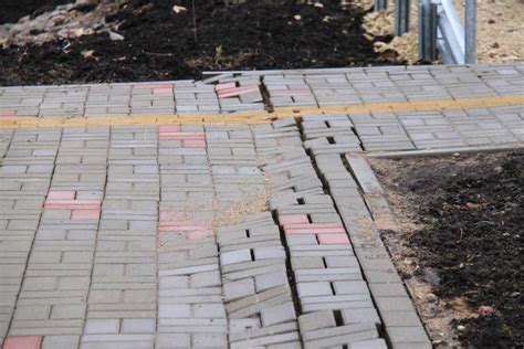 Как правильно уложить тротуарную плитку во дворе частного дома