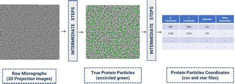 Github Bioinfomachinelearningcryoppp The Programs Of Creating Cryo