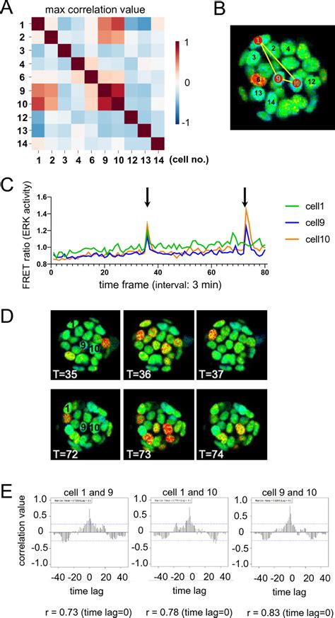 An Example For Correlation Of Peak Generation Patterns Among Active Download Scientific Diagram