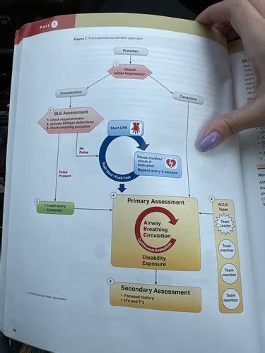 ACLS Flashcards Quizlet