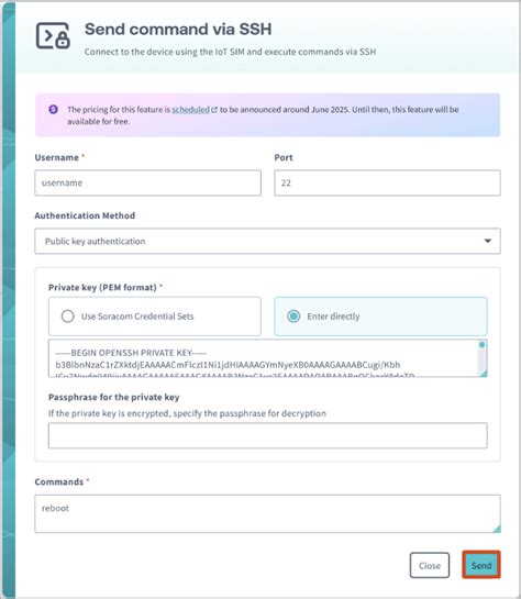 Remote Command Ssh Usage Soracom Developers