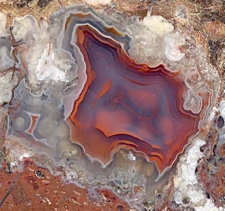 Laboratory Apex Evolution Advertising