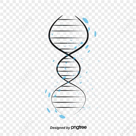 벡터 아트워크 유전자 구조생물학의료 과학基因学 Png 일러스트 무료 다운로드 Lovepik