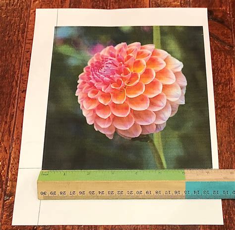 How To Draw More Accurately The Grid Method In Easy Steps Cartecay Life