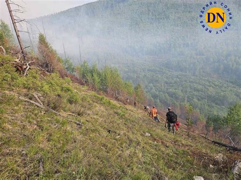 Энэ сард бүртгэгдсэн 59 ой хээрийн гал түймрээс 37 түймрийг бүрэн унтраалаа