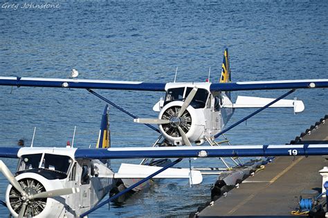 Beavers 2 Harbour Air Dhc 2 Beavers At The Seaplane Term Flickr