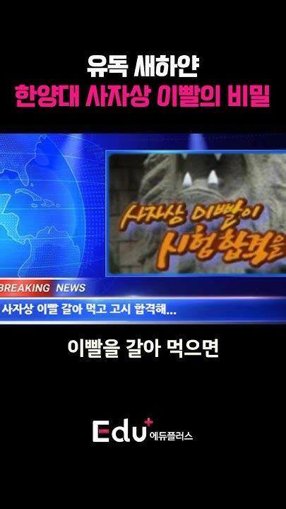 한양대 사자 임플란트할 수밖에 없던 이유 Youtube