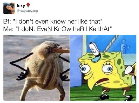 Memes Spongebob Bird Spongebob Mocking Pins And Buttons For Sale