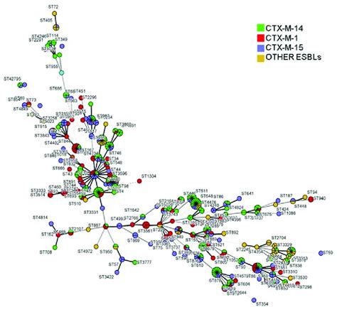 Minimal Spanning Tree Constructed Based On The MLST Profiles Of The 448