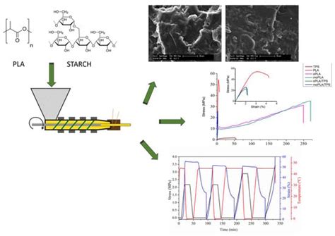 Thermally Activated Shape Memory Behavior Of Biodegradable Blends Based