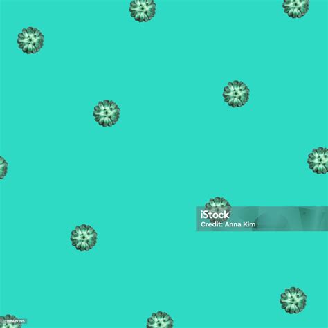 흰색 배경에 고립 된 아름다운 녹색 즙이 많은 패턴을 만들었습니다 0명에 대한 스톡 사진 및 기타 이미지 0명 2020년 개체 그룹 Istock