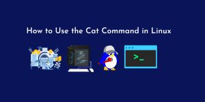 How To Use The Cat Command In Linux With 22 Practical Examples