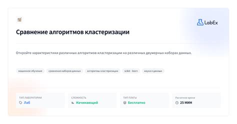 Сравнение алгоритмов кластеризации Labex