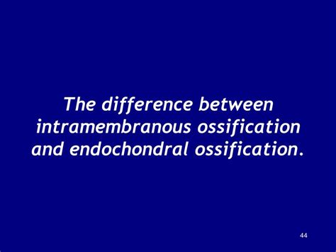 PPT Chapter 6 Osseous Tissue And Bone Structure PowerPoint Presentation ID 793712