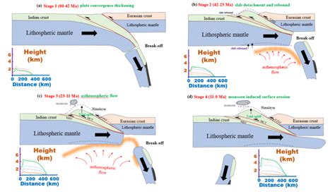 Schematic Illustration Of The 2 D Tectonic Evolution Of The Himalayan Download Scientific