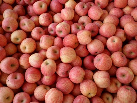 烟台苹果烟台苹果 包装10斤20 22个 1级 水果商超采购批发 阿里巴巴