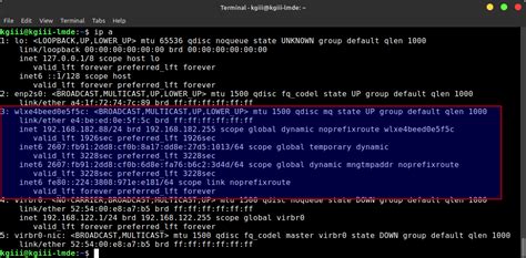 Bring Your Network Up Or Down In The Terminal • Linux Tips