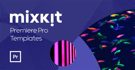 Free Premiere Pro Social Media Template Downloads Mixkit