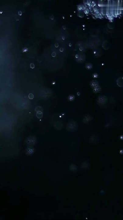 Vooki Infosec Pvt Ltd On Linkedin Cybersecurity Appsec Infosec Securityawareness…