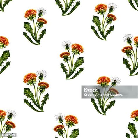 민들레가 있는 매끄러운 패턴 수채화 그림입니다 섬유 포장 배경 디자인 및 벽지 0명에 대한 스톡 벡터 아트 및 기타 이미지 0명 개화기 계절 Istock
