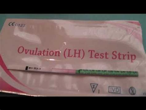 How To Use A Ovulation Test Strip YouTube
