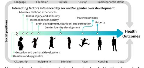 Figure 1 From A Developmental Framework For Understanding The Influence Of Sex And Gender On