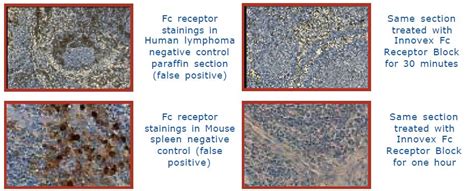 Universal Fc Receptors Blocker Innovex