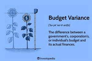 Budget Variance Definition Primary Causes And Types