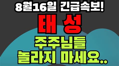 태성 주가전망 8월16일 긴급속보 주주님들 놀라지 마세요 Youtube