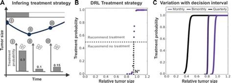 Mathematical Model Driven Deep Learning Enables Personalized Adaptive