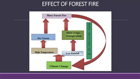 Wireless Sensor Network Assisted Forest Fire Detection And Control