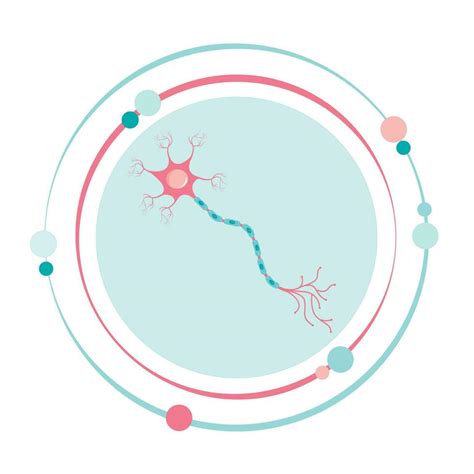 Neuron Vector Illustration Graphic Icon Symbol 29777337 Vector Art At