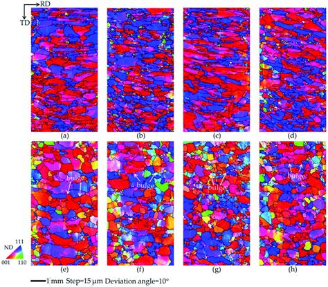 Microstructure Under Two Deformation Conditions 900 • C With 5 S −1