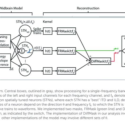 Spatial Tuning Characteristics Of Stns A Spatial Tuning Curves Of