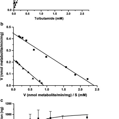 Representative Velocity Versus Substrate Concentration Plot A