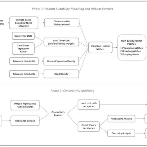 Identifying Priority Areas For Landscape Connectivity For Three Large Carnivores In Northwestern