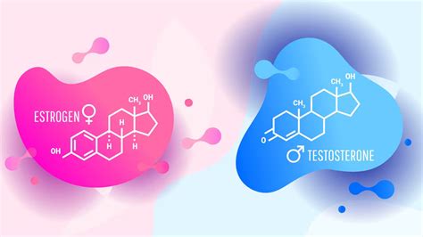 Power Of Testosterone Replacement For Women Heal N Cure Il
