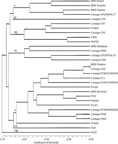Unweighted Pair Group Method With Arithmetic Mean Dendrogram Obtained
