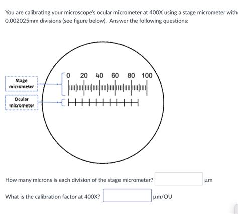 Solved You Are Calibrating Your Microscopes Ocular Solved You Are Calibrating Your Microscopes Ocular