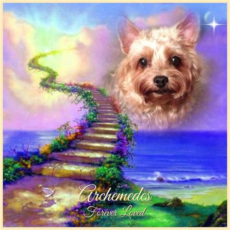 Angel Koda Big Head Madokx And Tornado Davis Me Knows It Bee A