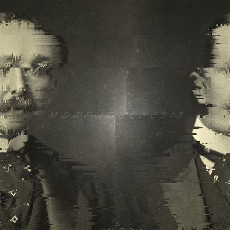 Morphogenesis Jonas Niemann