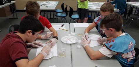 Stem Forensics Wilson 6th Grade Center