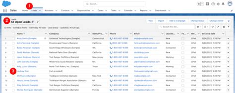 How To Integrate Salesforce Web To Lead With Wordpress
