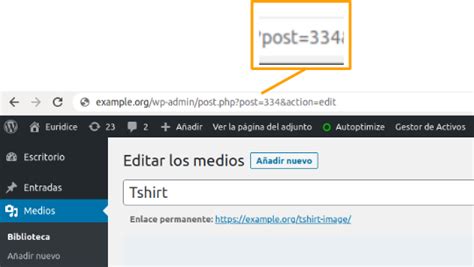 Cómo Funciona El Lazy Loading En Wordpress 55