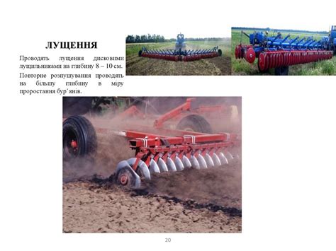 Технологія вирощування соняшника презентация онлайн