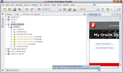 如何扩展 Oracle Solaris Studio Ide
