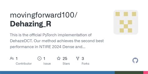 Issues · Movingforward100dehazingr · Github